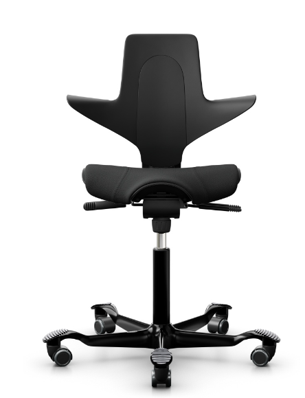 HAG Capisco Puls 8020 | Ergonomic Office Chair | KOS.ie